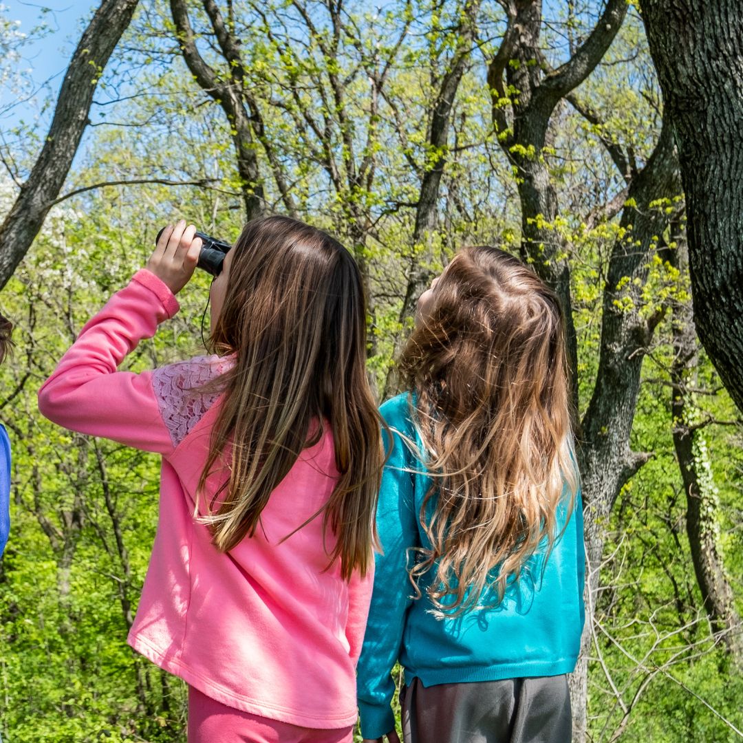 Home - Canadian Association for Girls In Science (CAGIS)