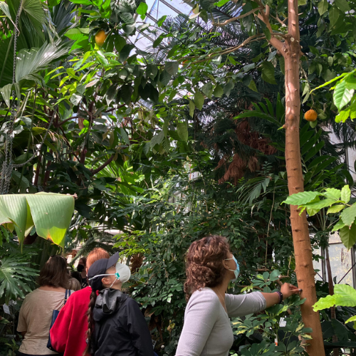 CAGIS member, Jill Jansen, visits the McMaster Greenhouse - CAGIS Clubhouse