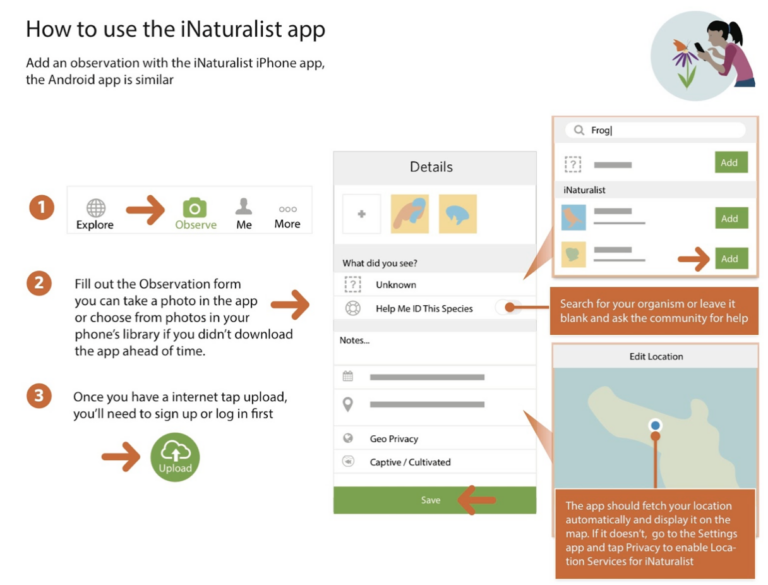 How to Use the iNaturalist App - CAGIS Clubhouse