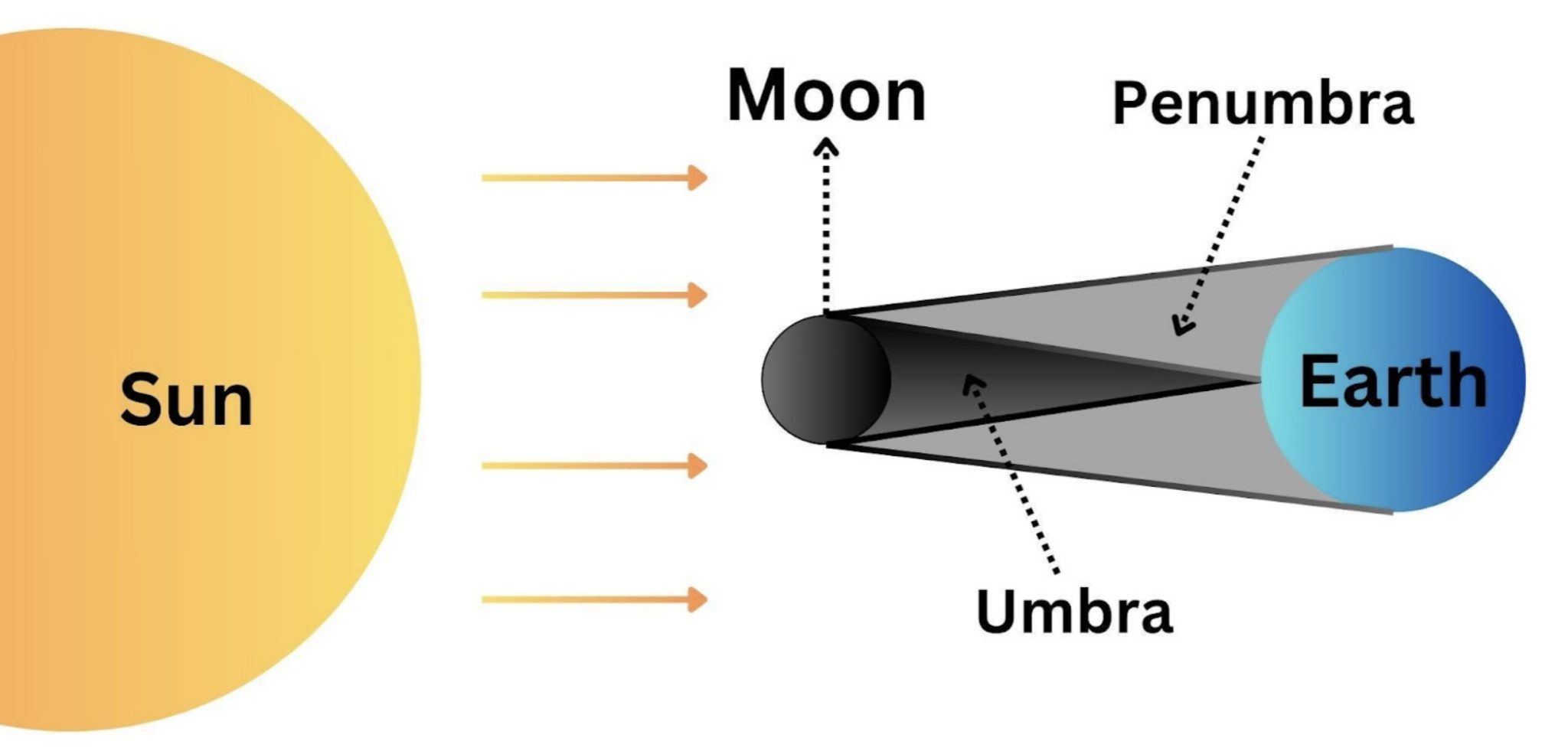 Get Ready for a Rare Celestial Event - A Solar Eclipse - on April 8th ...